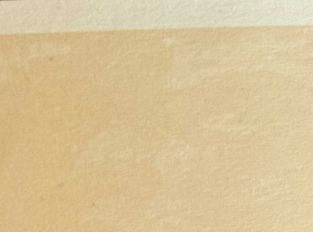 Anthotype Printing - 3 Examples after 30 Days | Carleton Torpin